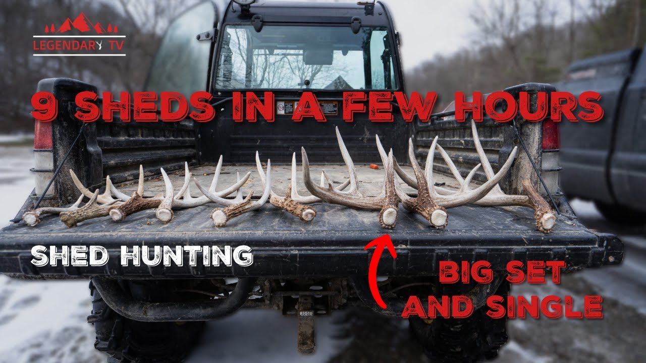 9 Sheds in a few hours - Busters small side found - Big Set - YouTube