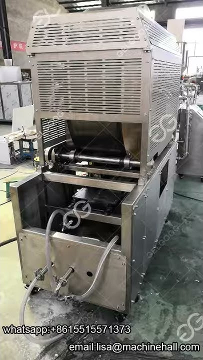 How Much is Automatic Spring Roll Machine (Industrial Use) - YouTube
