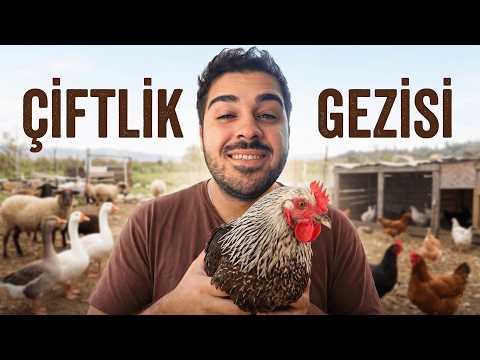 Çiftliğimdeki Tüm Hayvanlar | Dev Çiftlik Turu