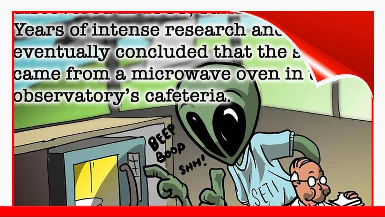 Useless Facts, Badly Drawn: 33 Random Bits Of Trivia That Are Totally ...