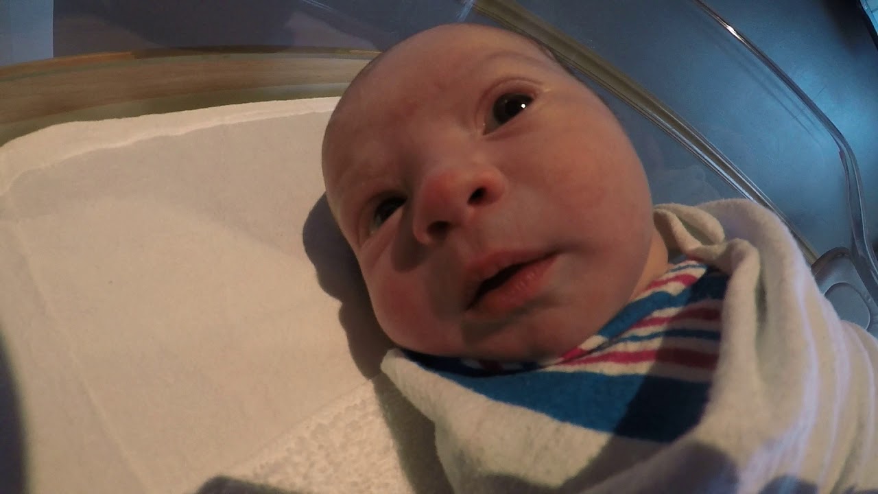 Noah Day 2 - YouTube