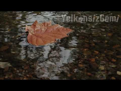 Vazgeçmek Diye Birşey var - Ezgin KILIÇ -YelkensizGemi #şiir #şiirsokakta #youtube
