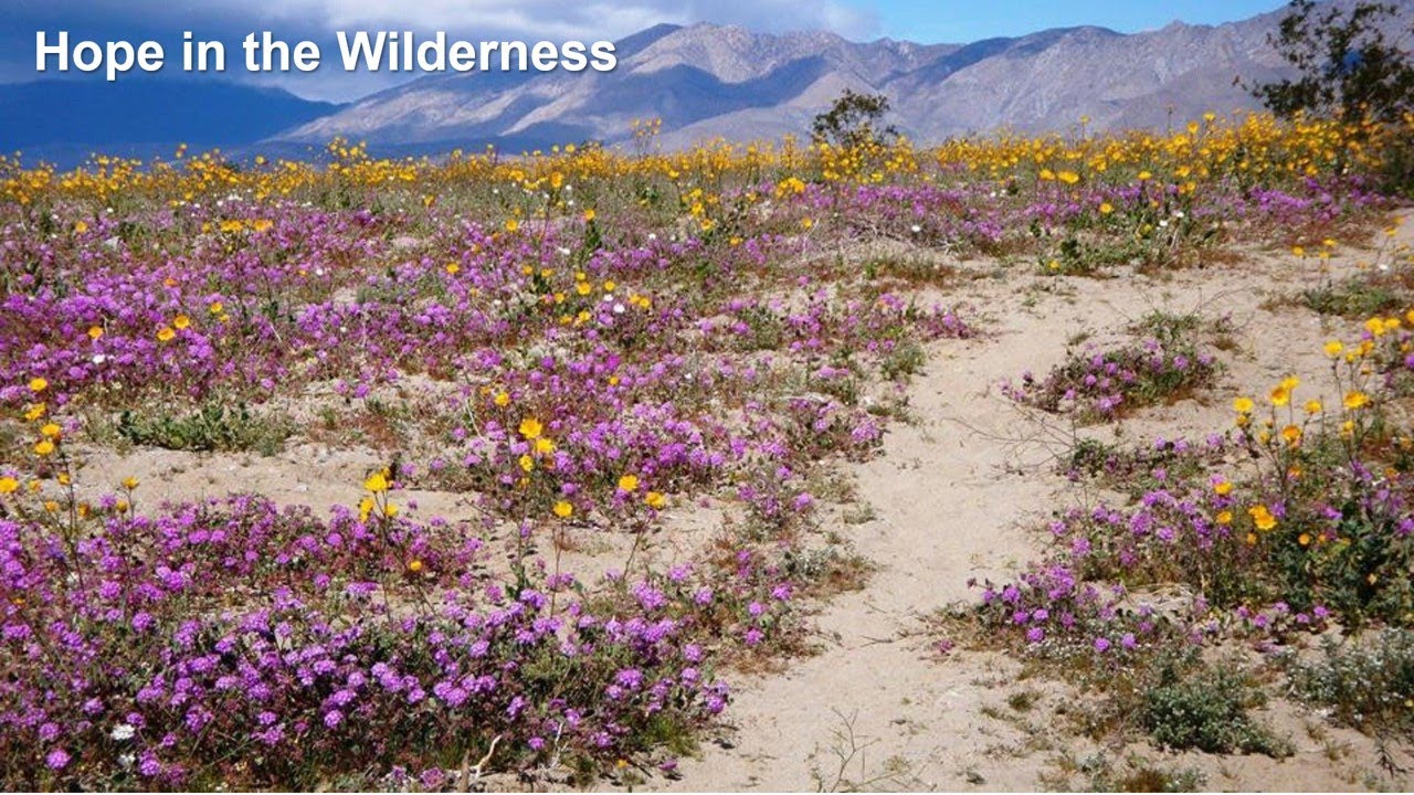 Hope in the Wilderness - Dave Bookless - YouTube