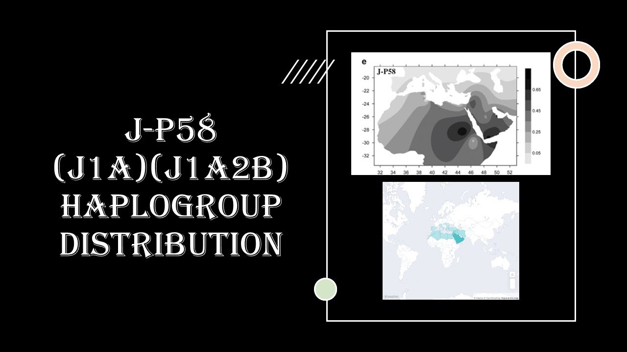 J-P58 (J1a)(J1a2b) (J-Z1865) haplogroup distribution (My parental ...