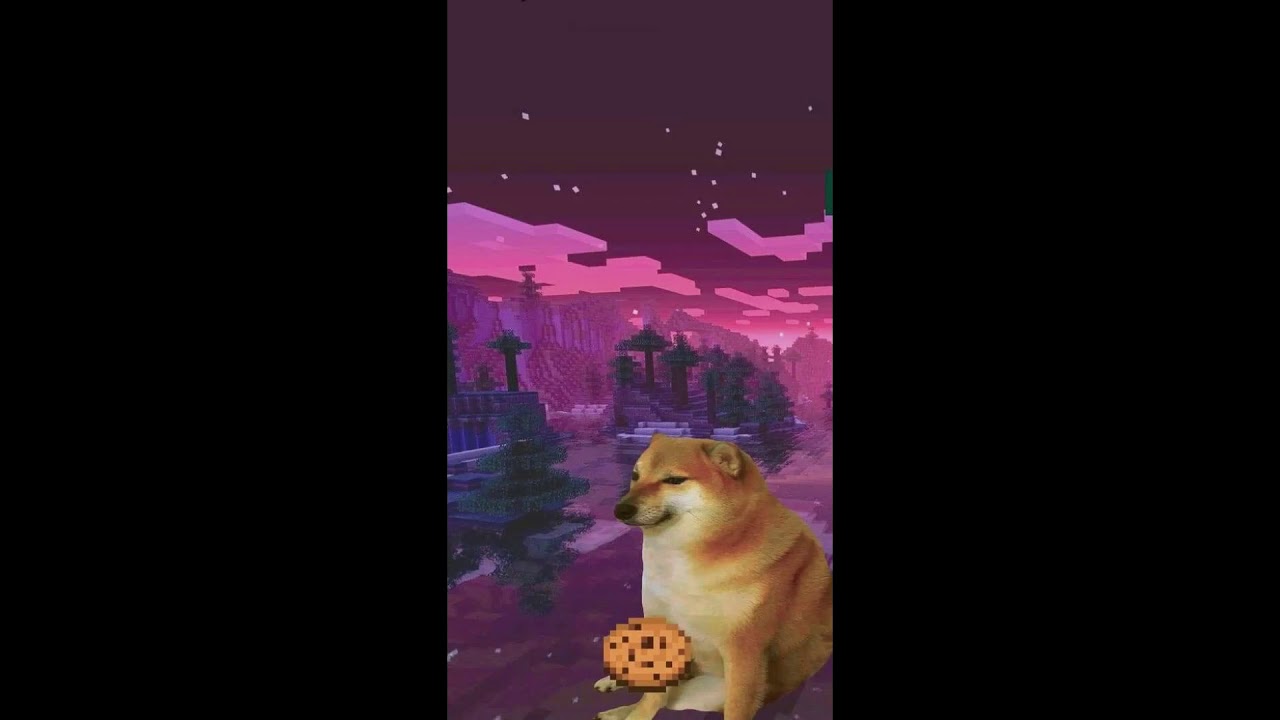 Cheems minecraft - YouTube