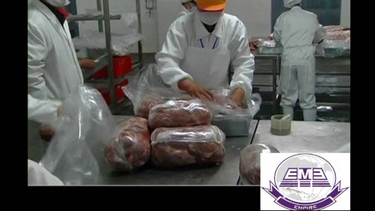 The Newest pig abattoir slaughter line Unit IIII By EME butchery ...