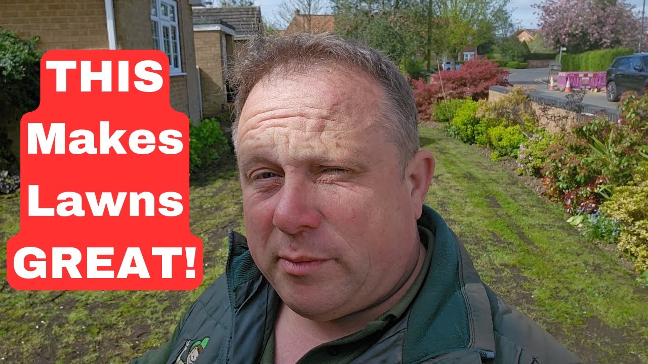 Revive Your Damaged Lawn in 11 Simple Steps - Beginner's Guide - YouTube