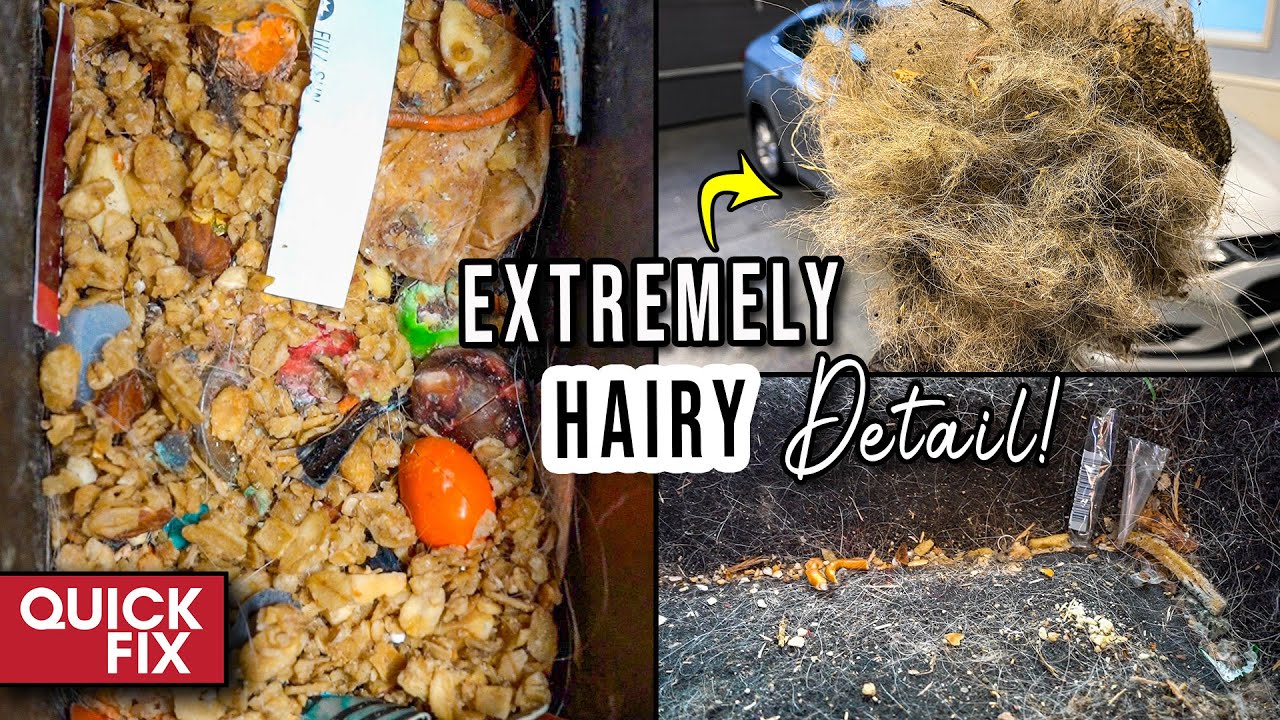 Deep Cleaning a SUPER HAIRY Dog Kennel on Wheels! - YouTube