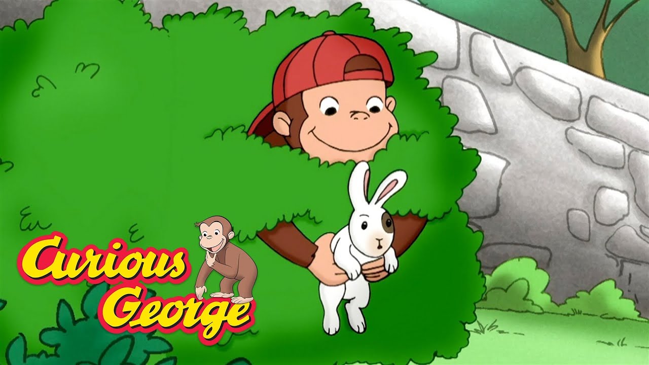 George Meets A New Animal Friend 🐵 Curious George 🐵 Kids Cartoon 🐵 Kids ...