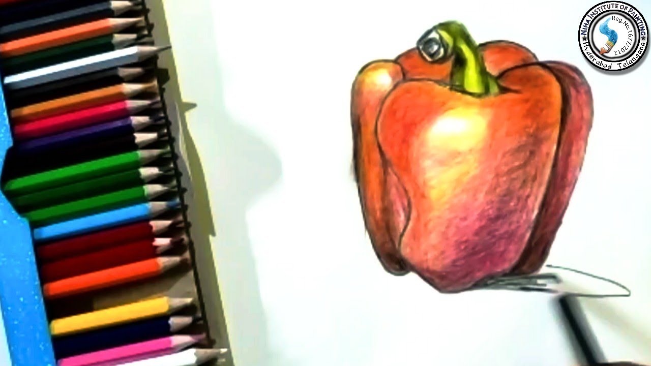 Become an Expert in Capsicum Drawing with Color Pencils ...