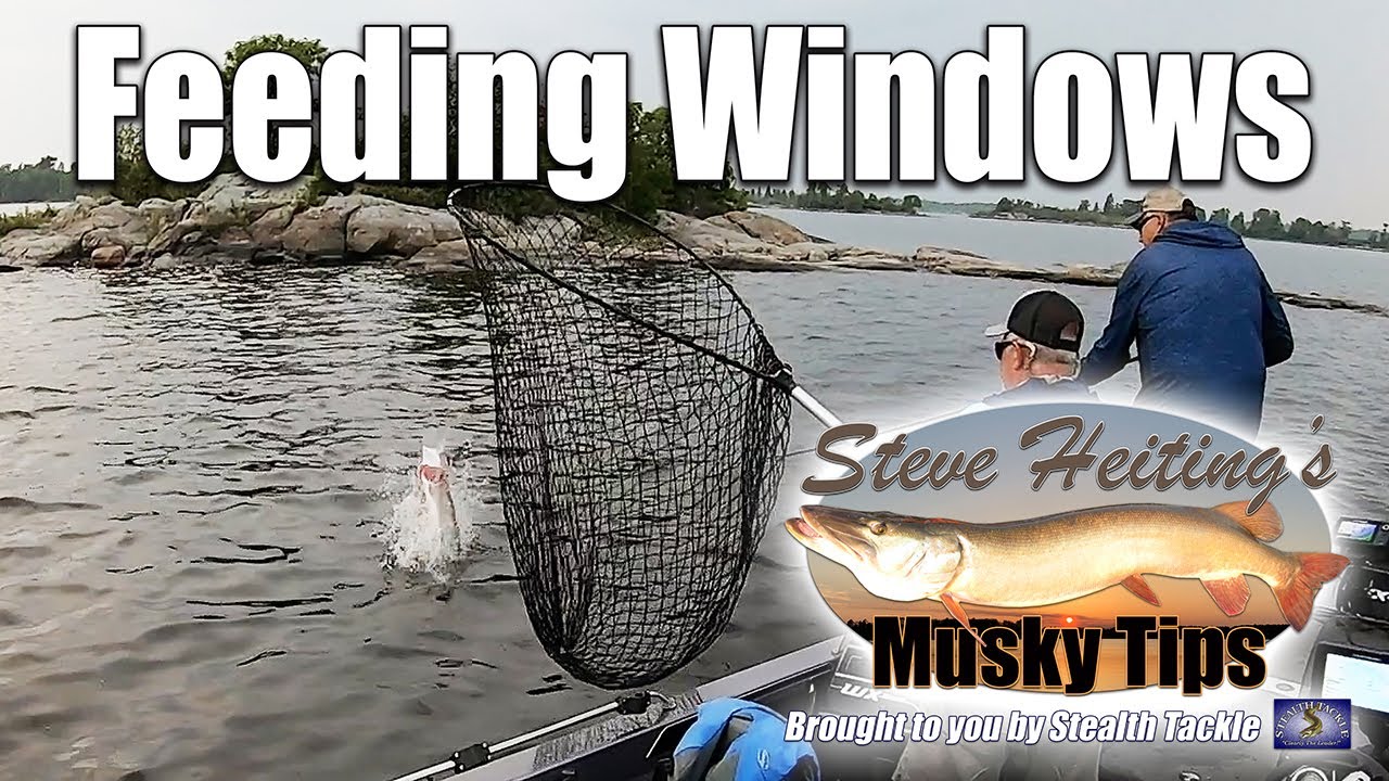 Feeding Windows - YouTube