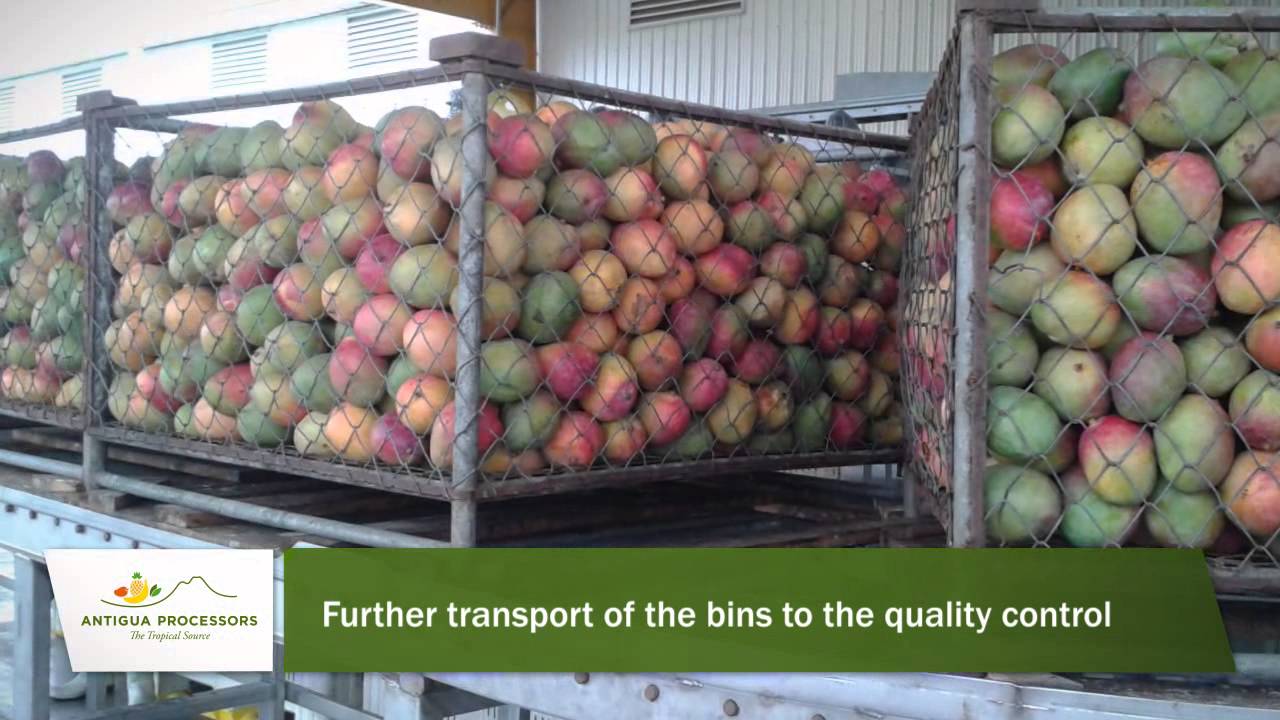 AntiguaProcessors ENG 2015 - YouTube