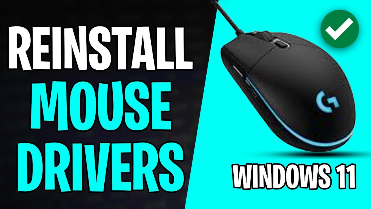 How to Reinstall Mouse Drivers in Windows 11 Laptop or PC (2025) - YouTube