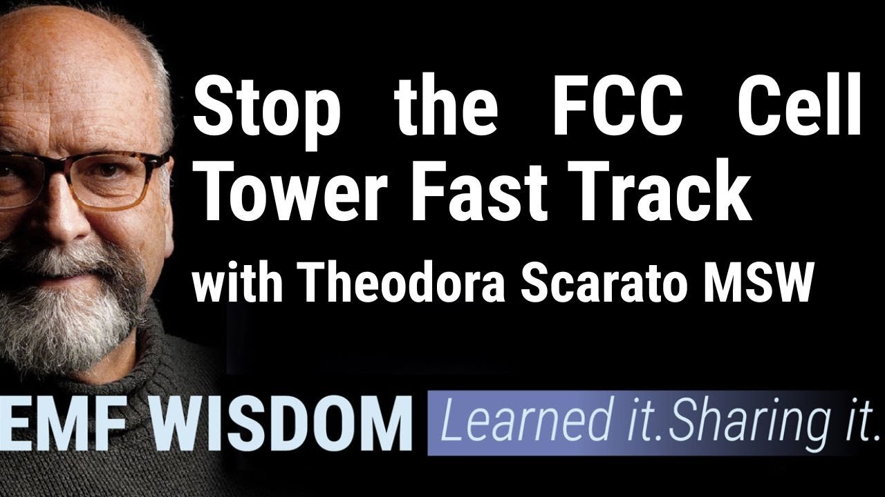 Stop the FCC Cell Tower Fast Track - YouTube