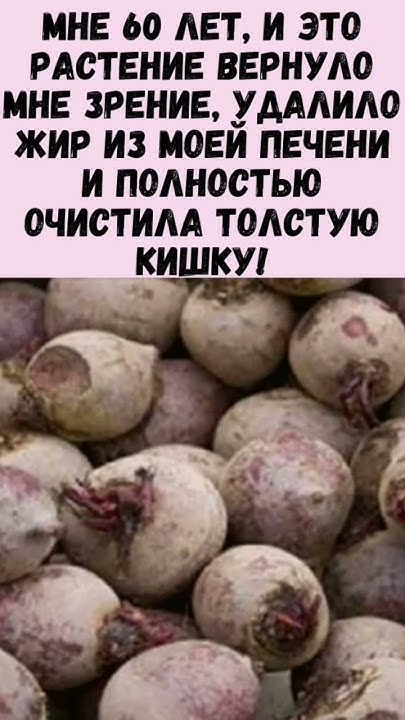 Свекла при панкреатите Самый лучший способ свекла Youtube