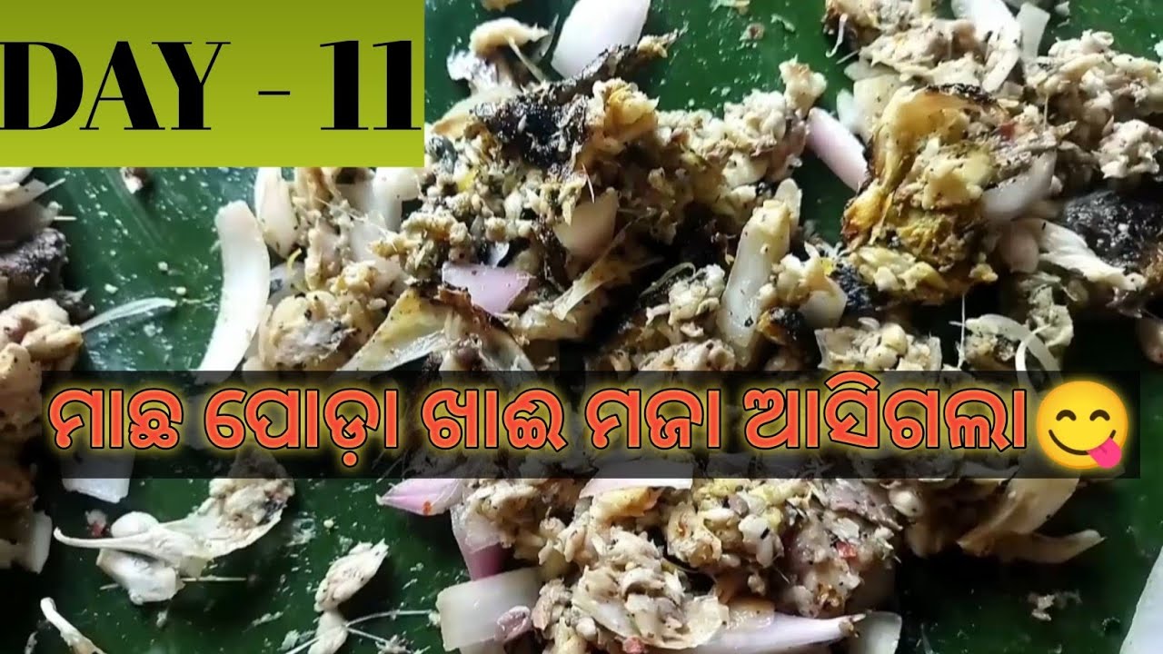 Poda Macha khai maja asigala.😋 - YouTube
