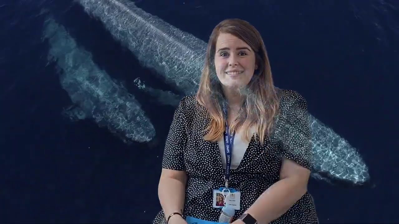 Lost and Found - read by Miss Smith - YouTube