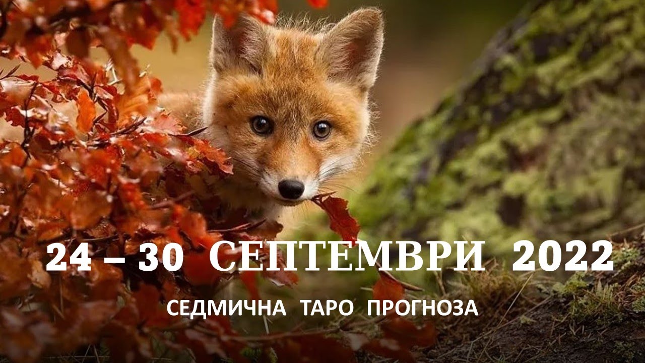 🍁24 - 30 Септември 2022 Седмична Таро прогноза 🍁Честита Есен! - YouTube