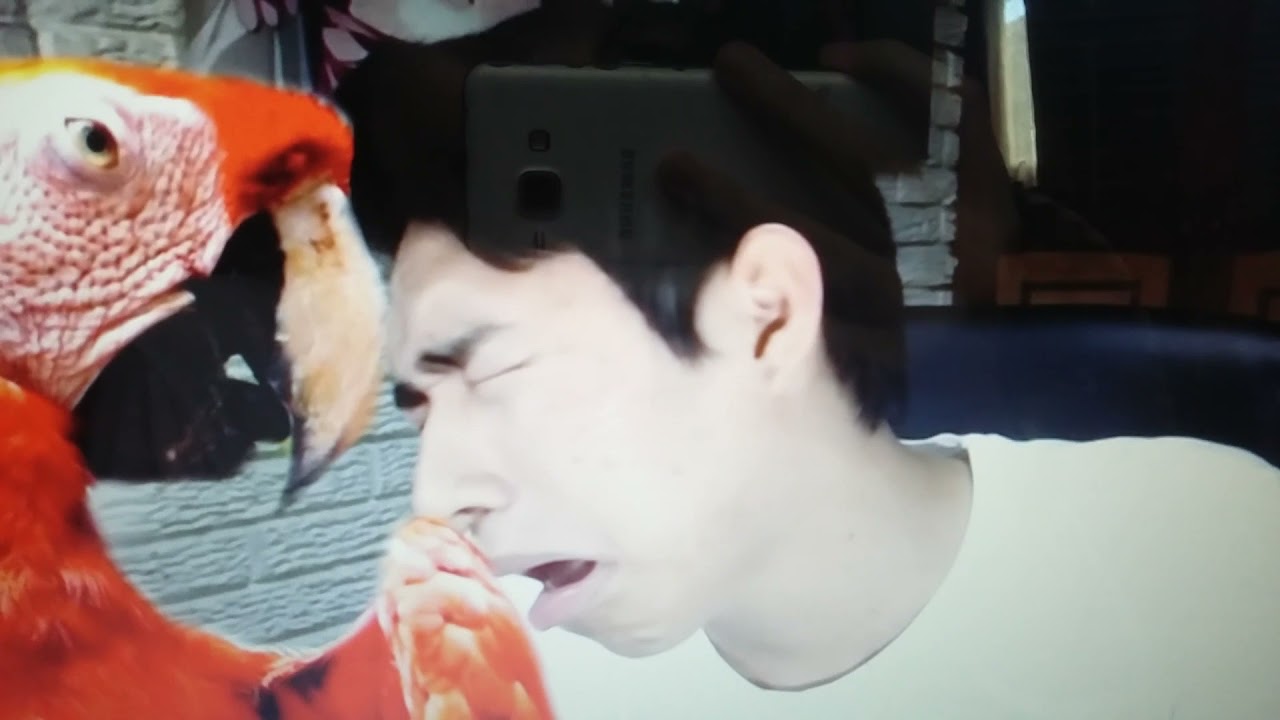 Terrence (FHFIF)'s New Crying Voice (For Aidan Taylor) - YouTube