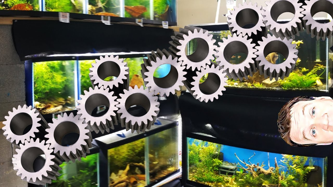 What Makes a Fish Room Go?? In depth of the Mechanics of a Fishroom ...