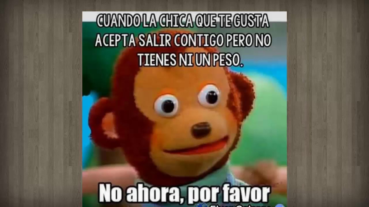 Los Mas Graciosos Memes De Pedro El MONO - YouTube