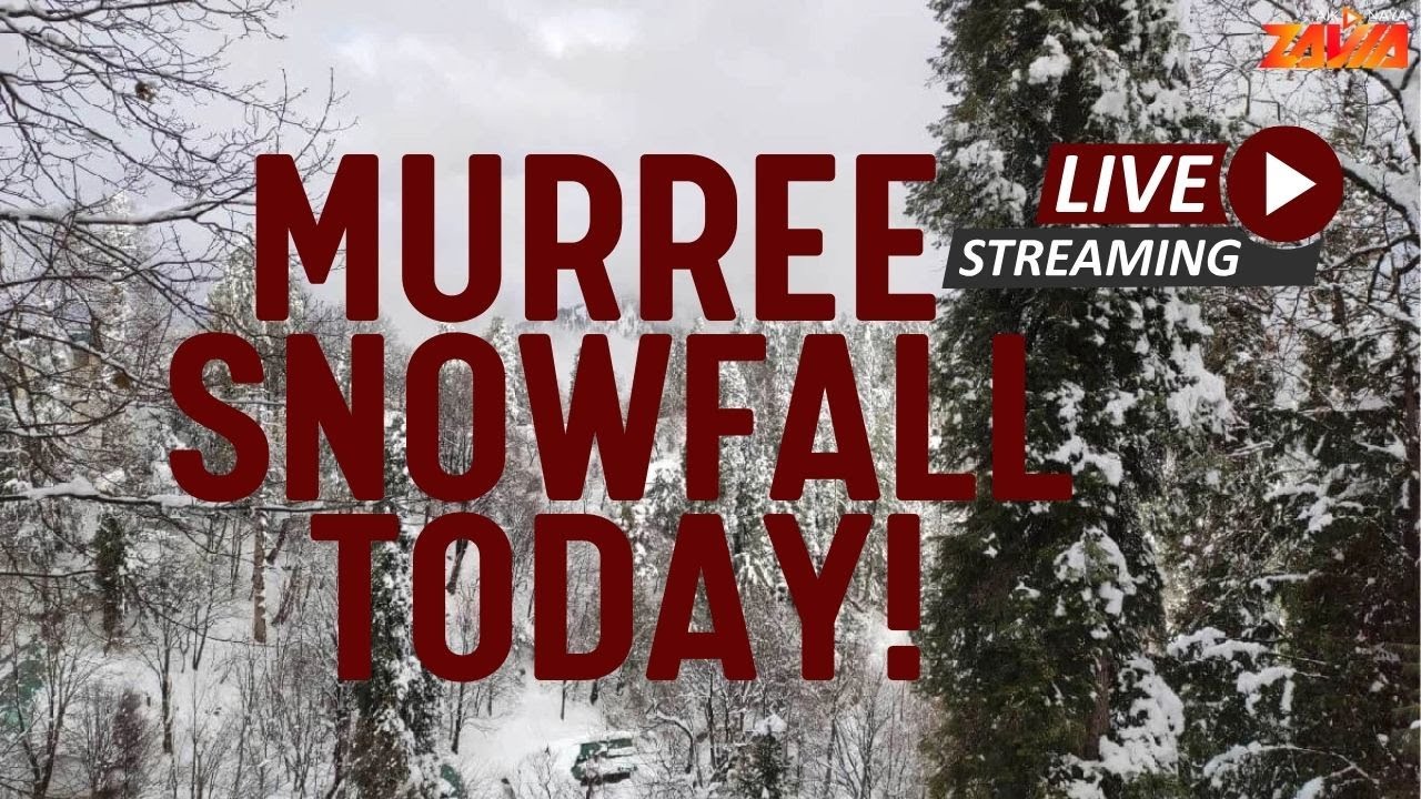 Beautiful Murree Snowfall ️ | Winter Wonderland of Pakistan | 4K - YouTube