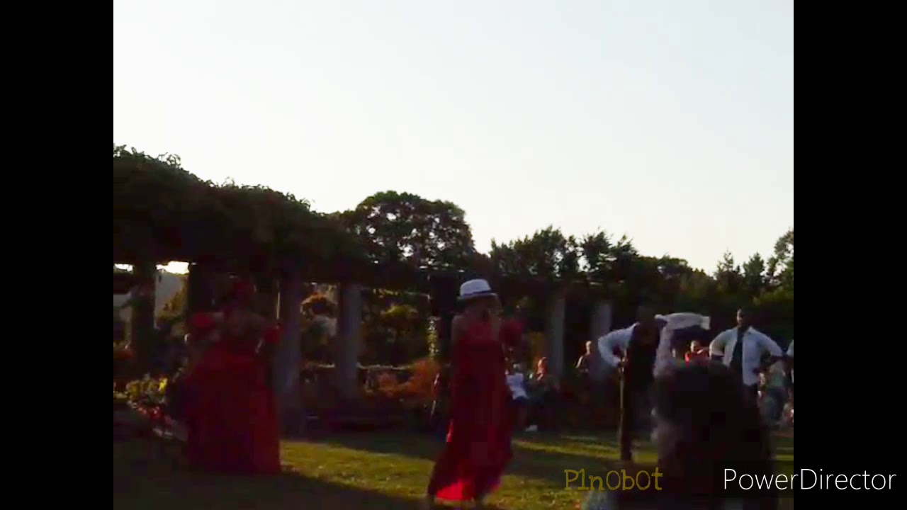 Bombazo Dance @ Wave Hill - YouTube