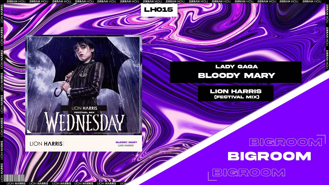 Lady Gaga - Bloody Mary (LION HARRIS Festival Mix) (Free Download ...