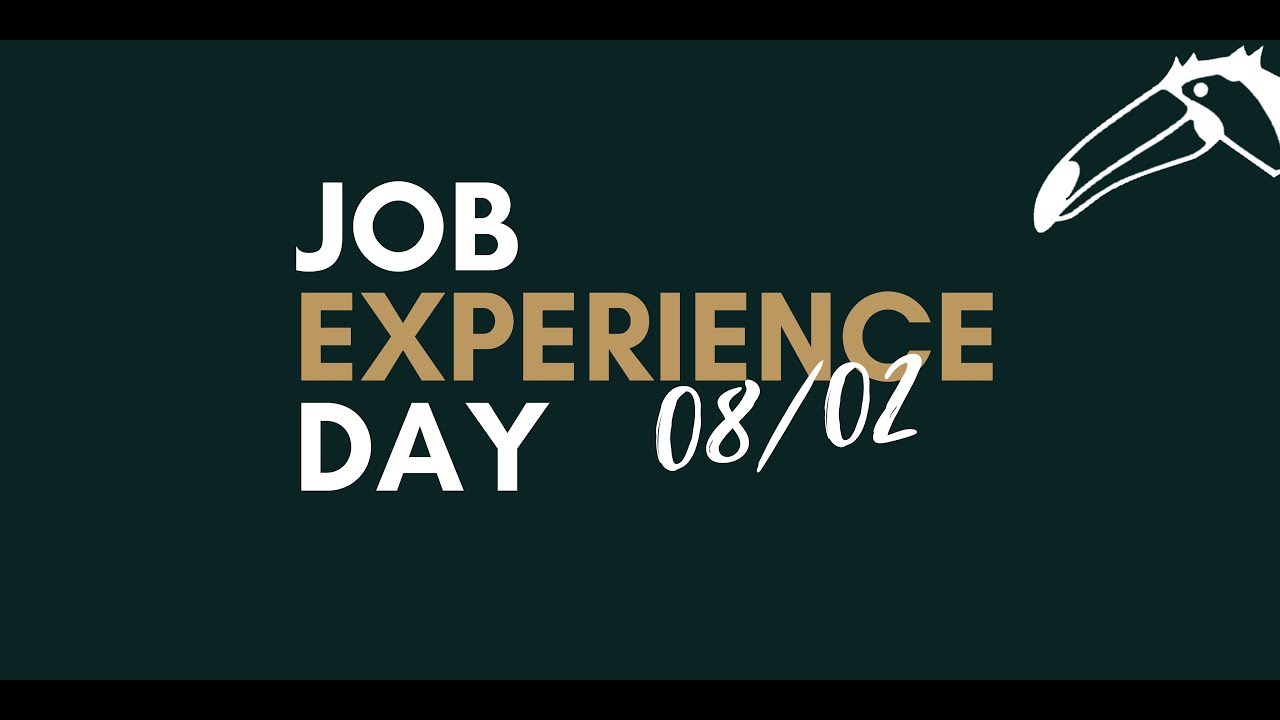 Job experience day - 08/02/2023 - YouTube