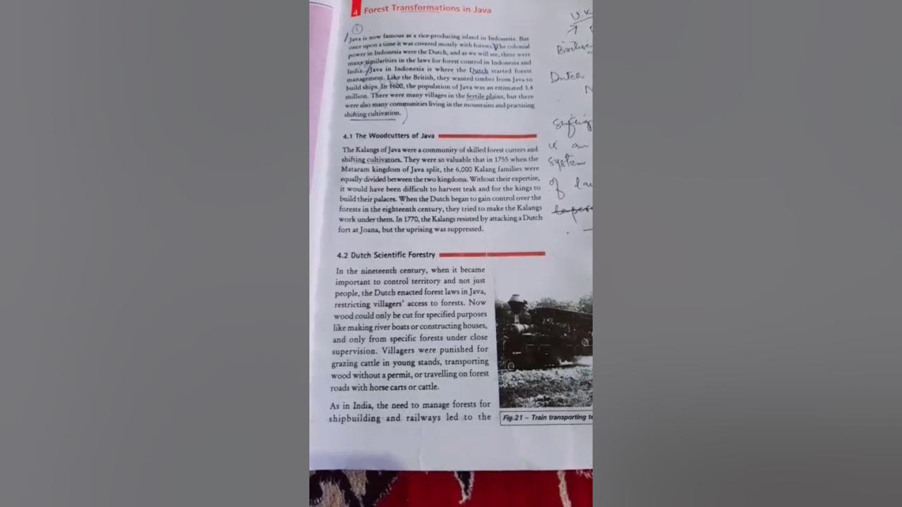 Forest Transformations in Java(Forest Society and Colonialism) - YouTube