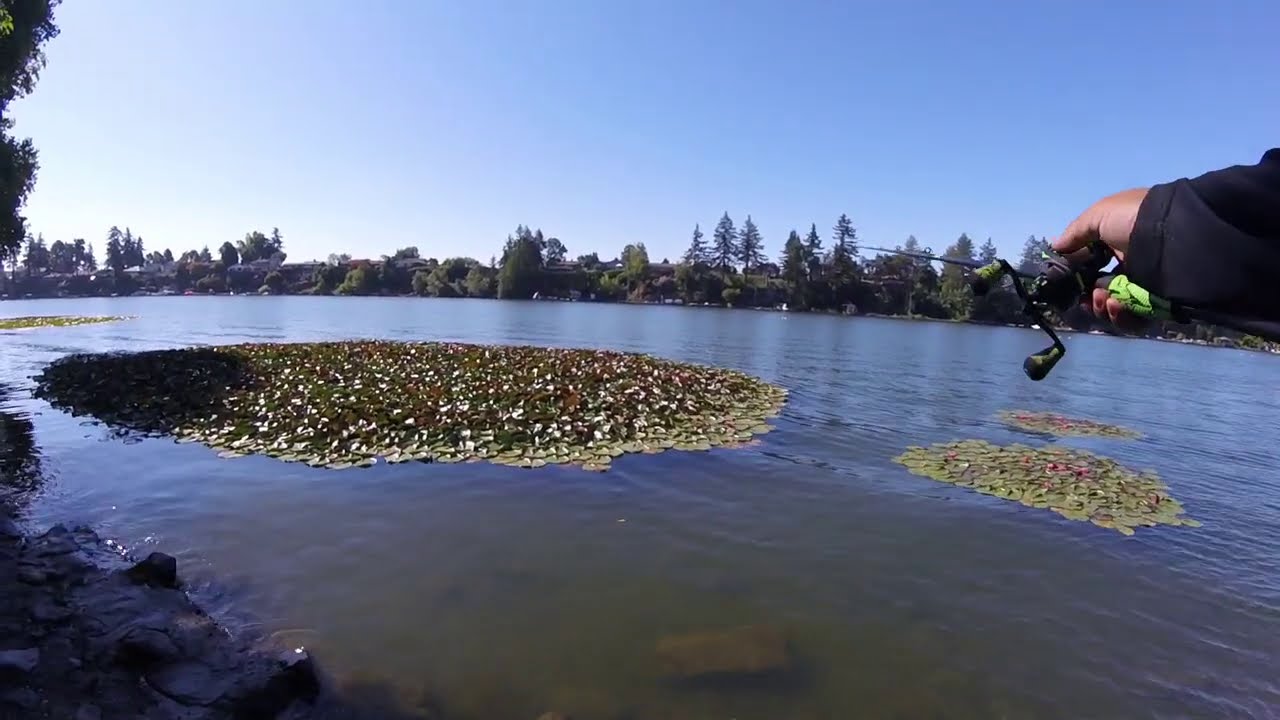 Blue Lake Fishing - YouTube