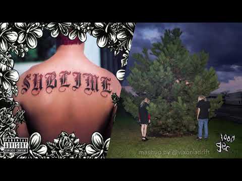 Sublime - Santeria but it's hand crushed by a mallet by 100 gecs