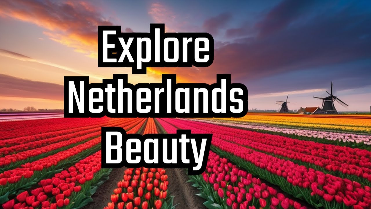 Unveiling the Natural Beauty of Netherlands - YouTube