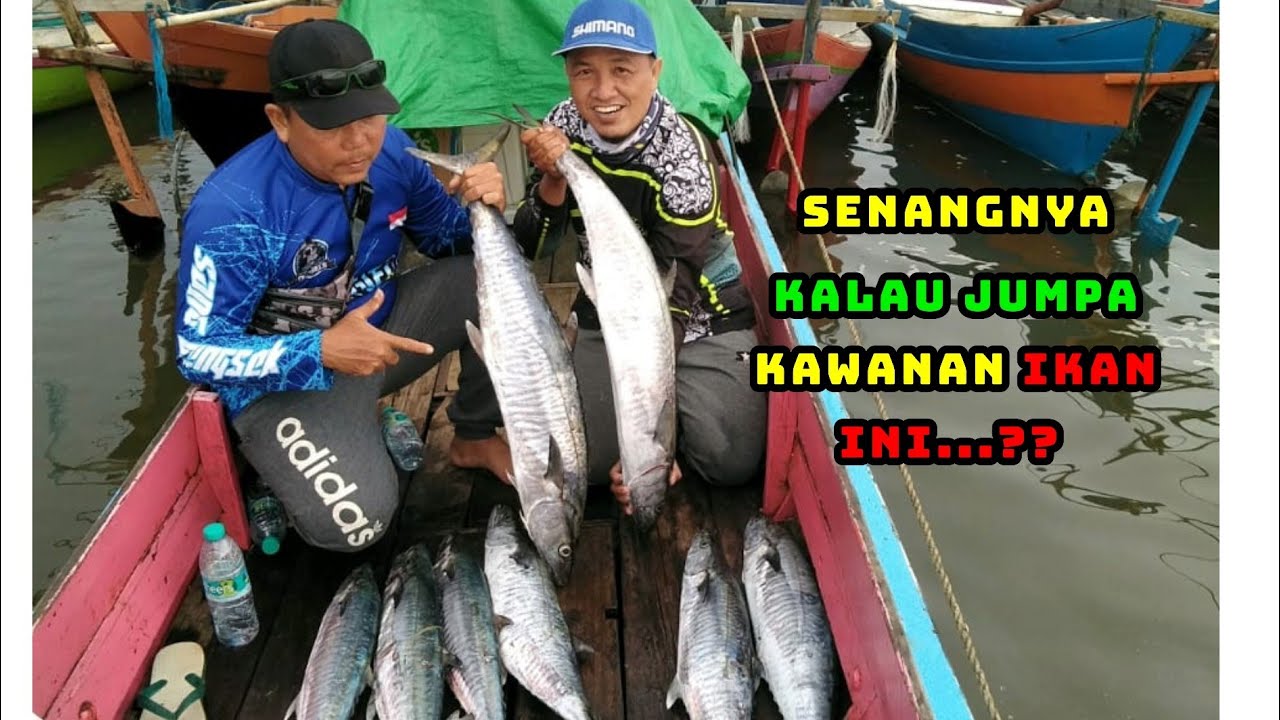 PANEN TENGGIRI...AYO BOSKU HAJAR BOSQUE || EDISI BOS ZAKI. PARTAI ...