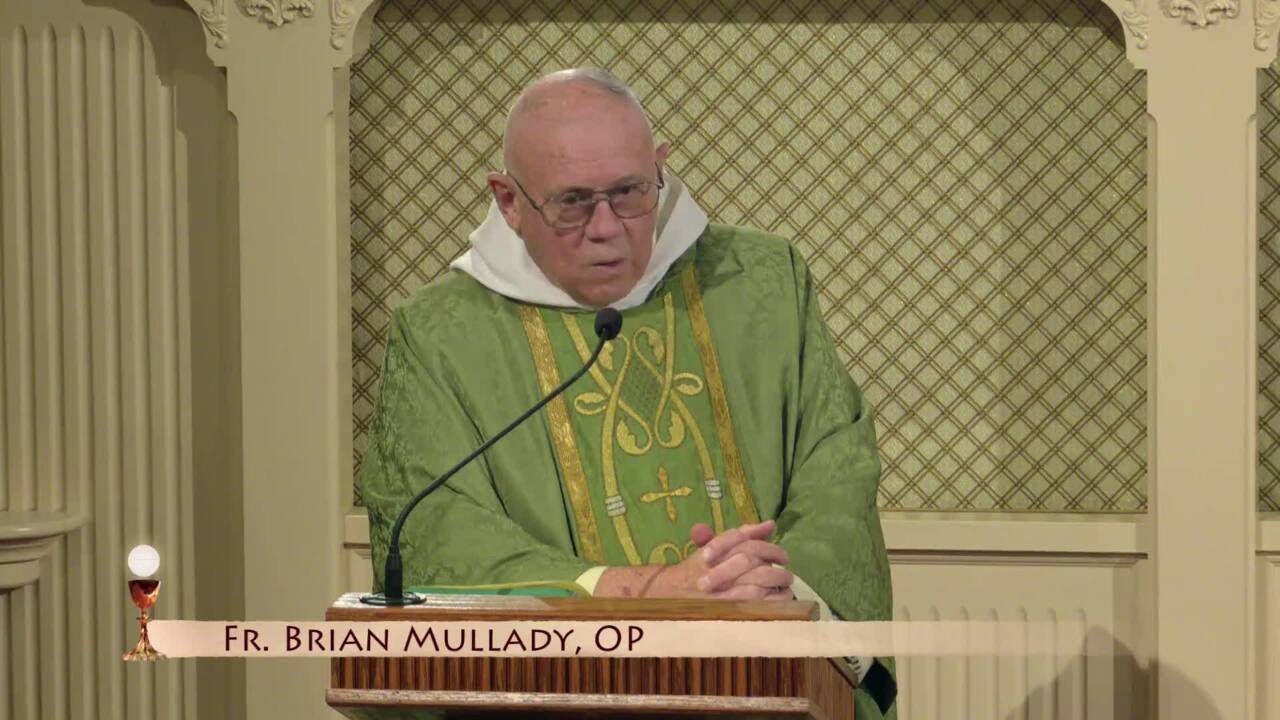 Daily Readings and Homily - 2023-06-20 - Fr. Brian Mullady - YouTube