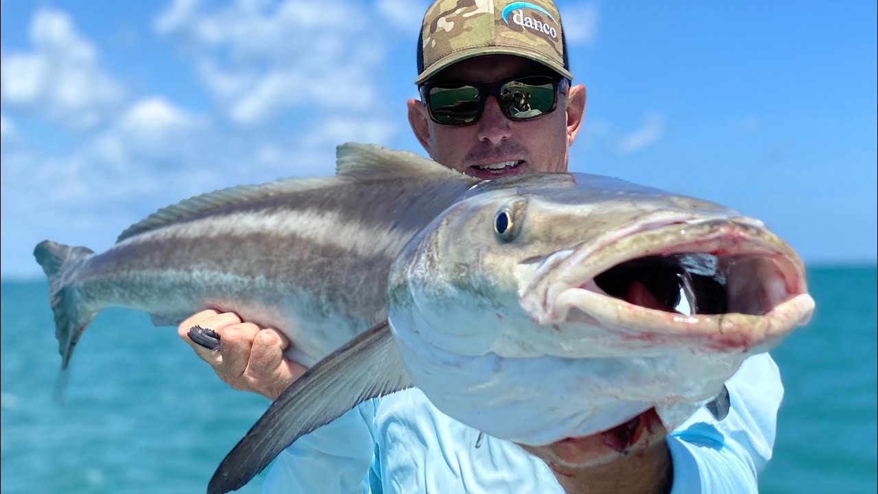 COBIA Catch, Clean&Cook With a side of SNOOK and REDFISH - Bluegabe