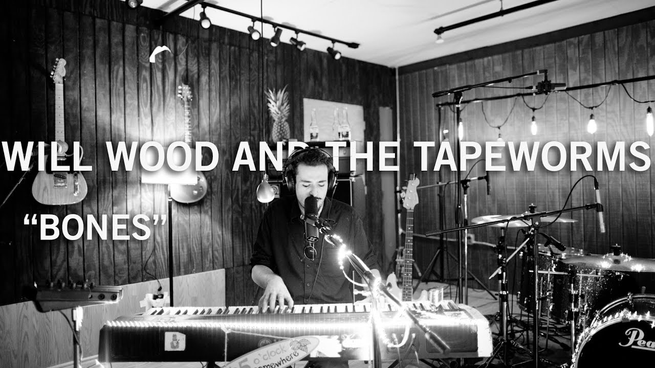 LIVE IN STUDIO - Will Wood and the Tapeworms - "Skeleton Appreciation ...