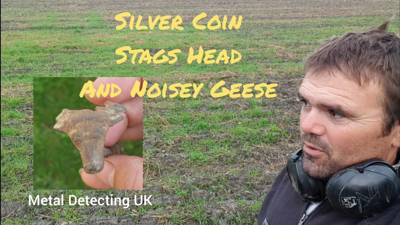 Silver Coin and Unusual Stag Head Found, Metal Detecting UK - YouTube