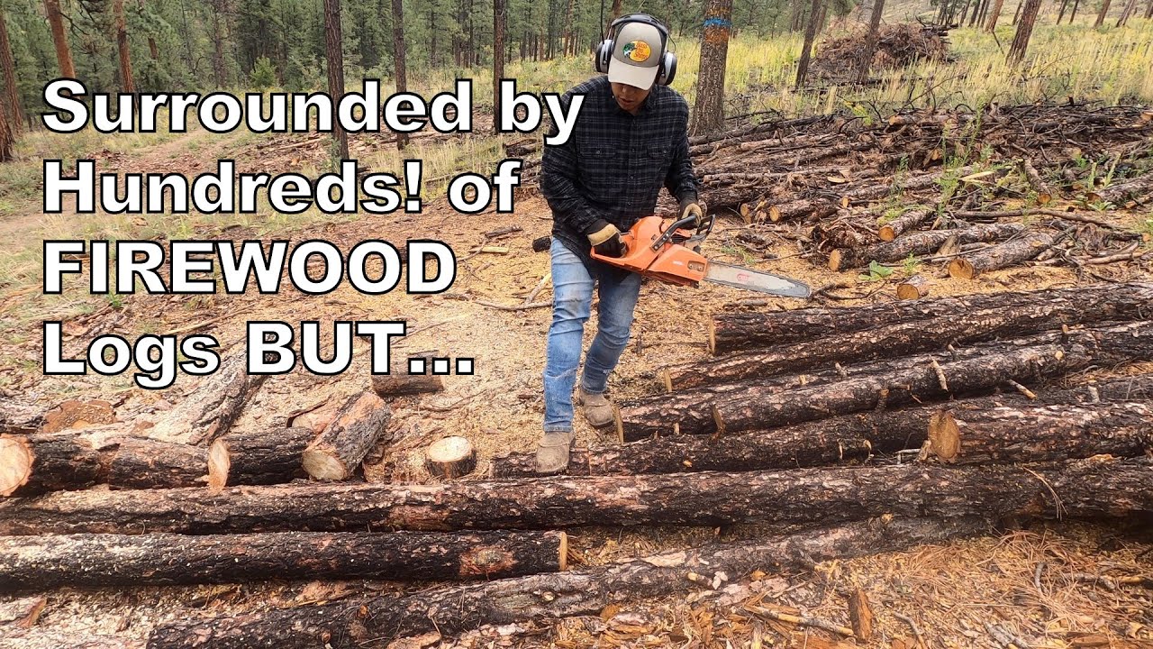 Mountain Logging In The Early Fall.. NM Firewood Trip - YouTube