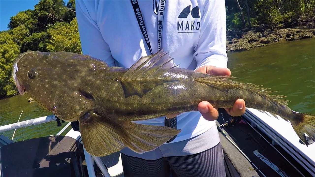 HUNTING BIG FLATTIES | Slapstix - YouTube