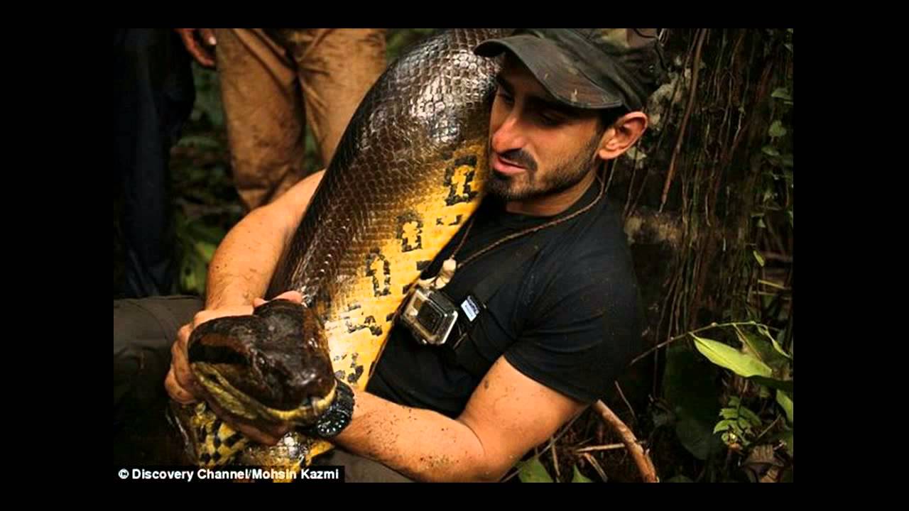 Eaten Alive “mega-anaconda” human food - YouTube