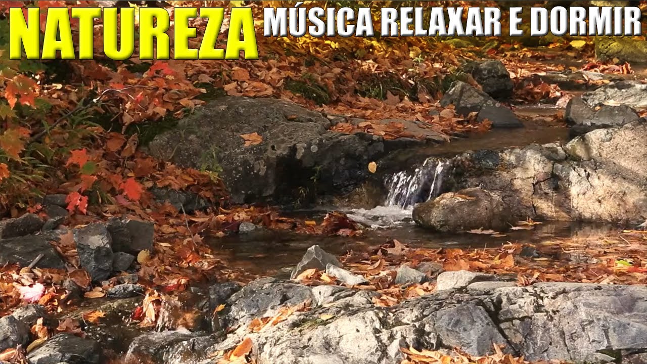 Sons da Natureza para Relaxar - Música Para Dormir Rápido e Relaxar ...