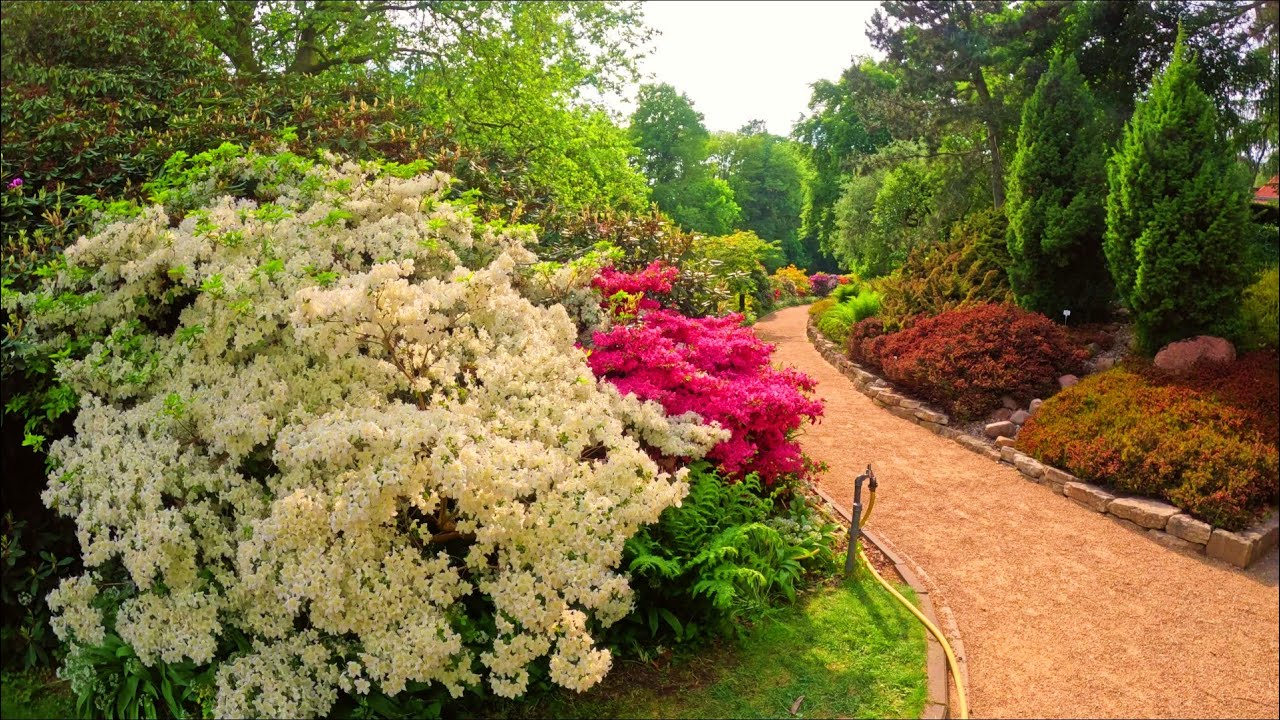 Beautiful Flower Garden in Germany, Botanischer Garten (Braunschweig ...