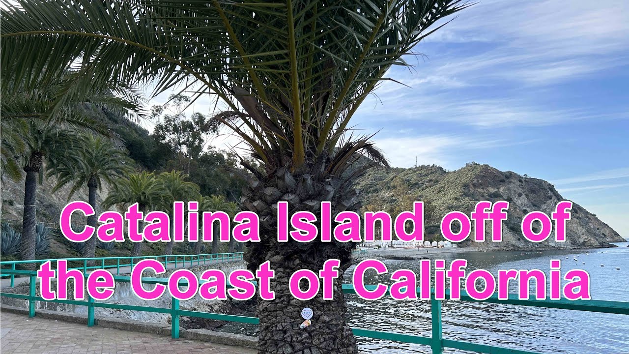 Catalina Island off of the Coast of California - YouTube