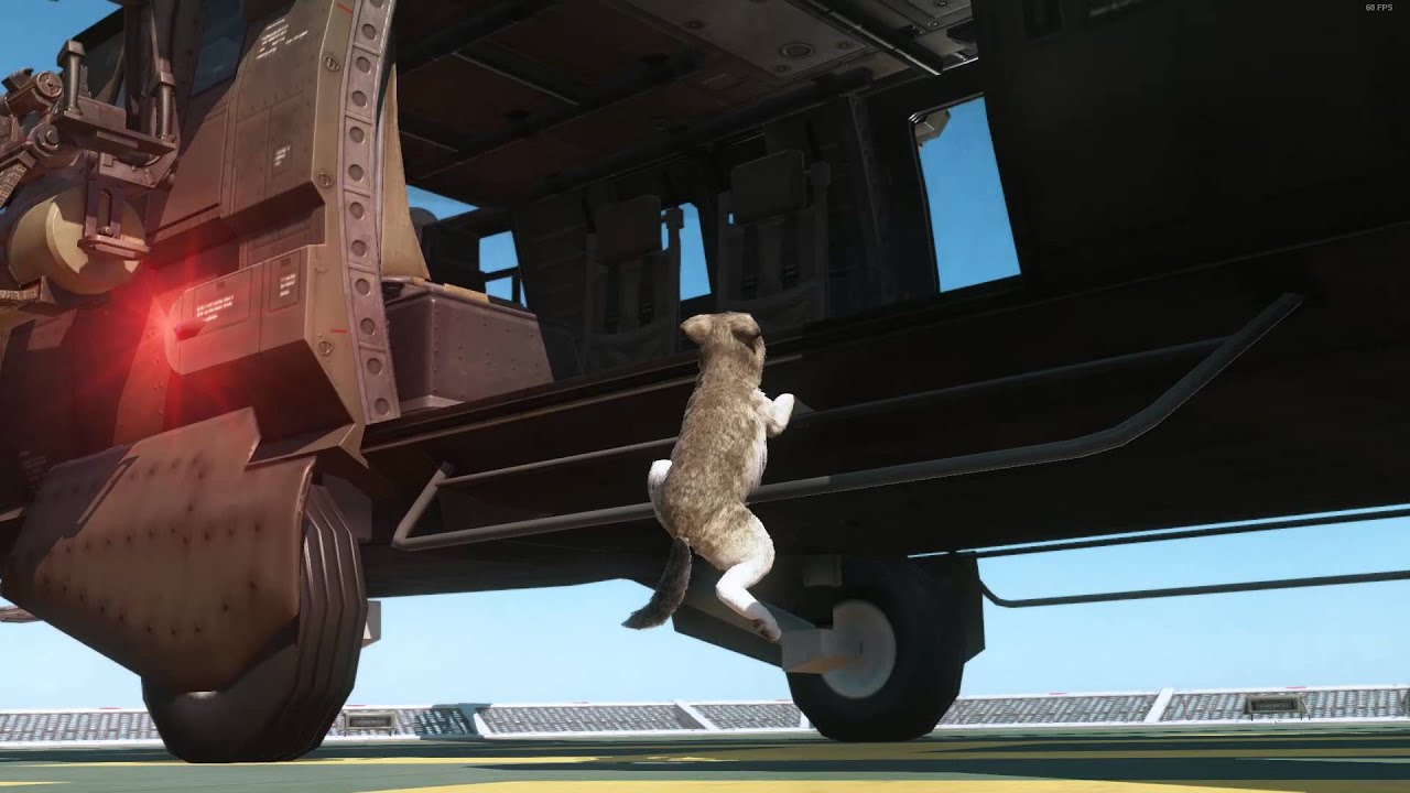 D-Dog (aka DD) as a Puppy - Metal Gear Solid 5: The Phantom Pain - YouTube