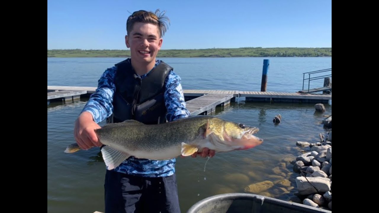 Jigging and Lindy Rigging Shallow Water Walleye! Beauty Saskatchewan ...