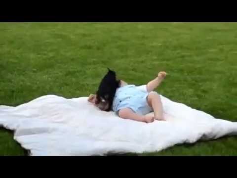 Cute Baby, Puppy Playing | Funny Kids, Dogs | America's Funniest Viral Videos