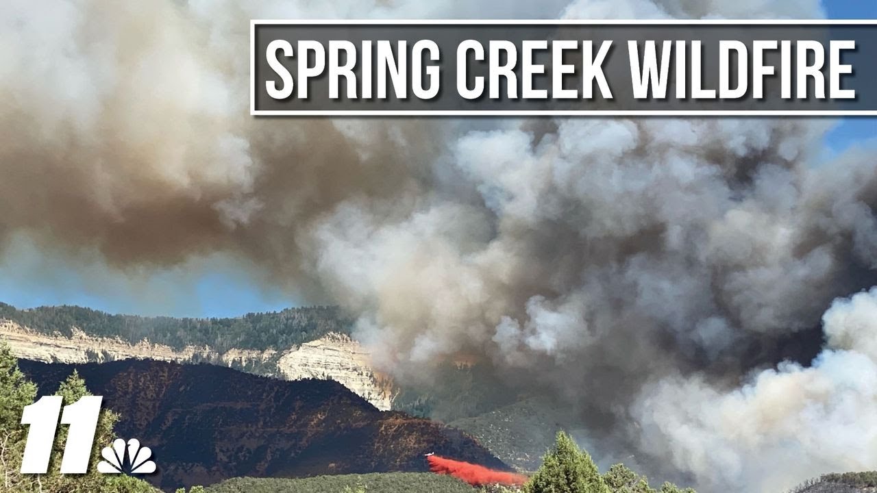 Spring Creek Fire: Fire activity expected to keep up yesterday’s tempo ...