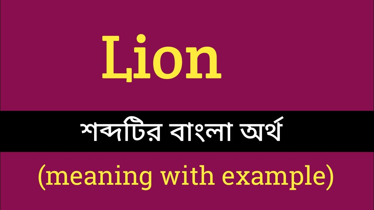 Lion Meaning in Bengali With Example || lion শব্দটির বাংলা অর্থ কি হবে ...