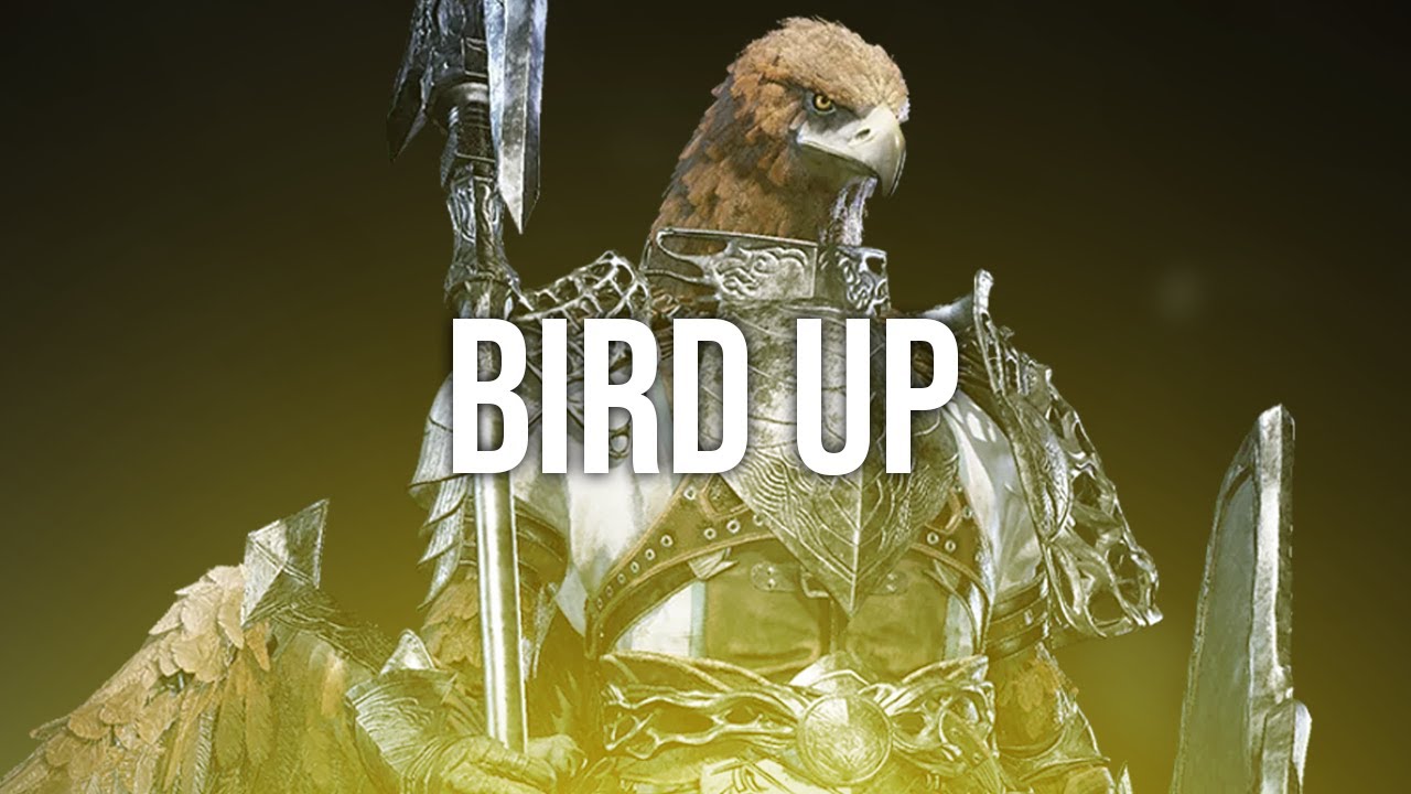 BIRD UP | Elden Ring: Nightreign NT - YouTube